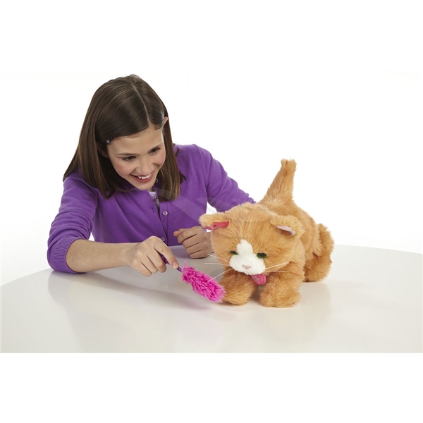 Fur Real Daisy Plays-With-Me-Kitty - Mjukisar - Hasbro | Shopping4net